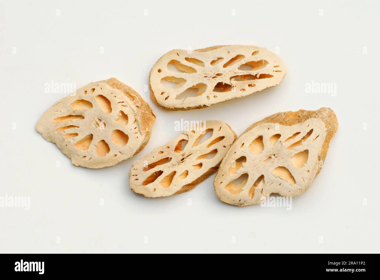 Indian Lotus (Nelumbo nucifera) sliced root, dried, Indian lotus flower ...