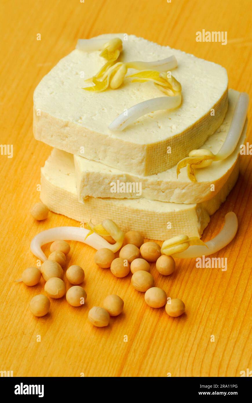 Slices of tofu, sprouts (Glycine max), Soya beanscurd, bean curd, Soja ...