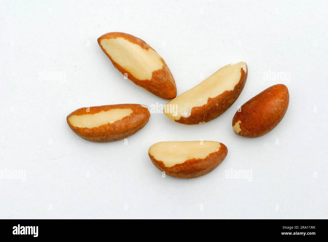 Brazil nuts (Bertholletia excelsa) Amazon almond, Lecythidaceae ...