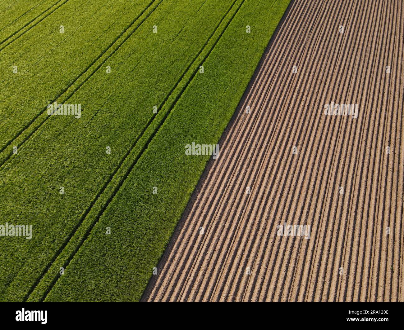 View from above of green crop field and plowed arable land with soil in ...