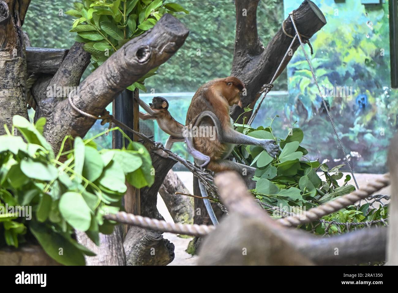 **CHINESE MAINLAND, HONG KONG, MACAU AND TAIWAN OUT** Wu Yi, a long ...