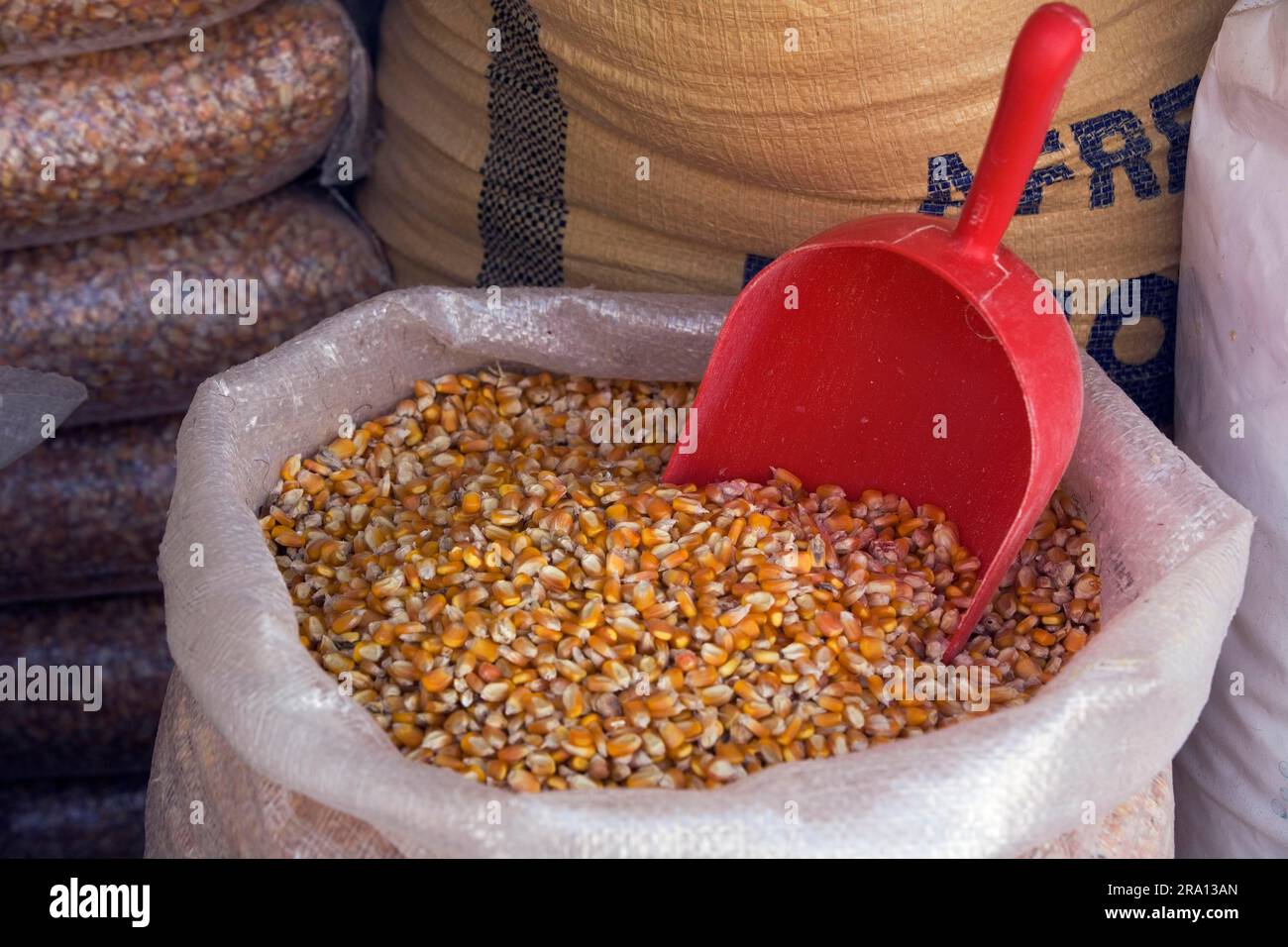 Selling maize, market, Otavalo, Imbabura province, Ecuador Stock Photo ...