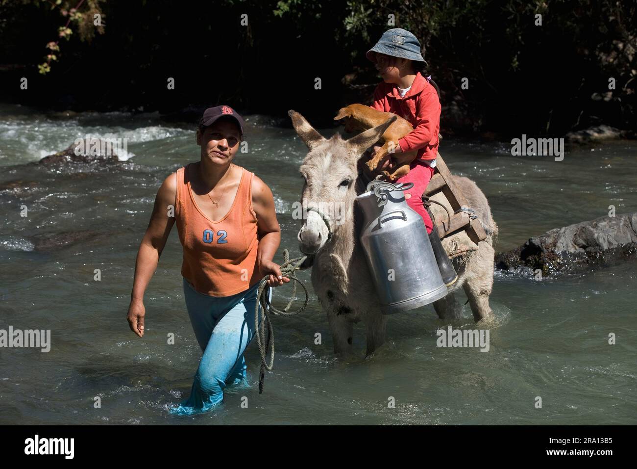 Woman leading donkey with milk can and girl, crossing river, Irubi ...