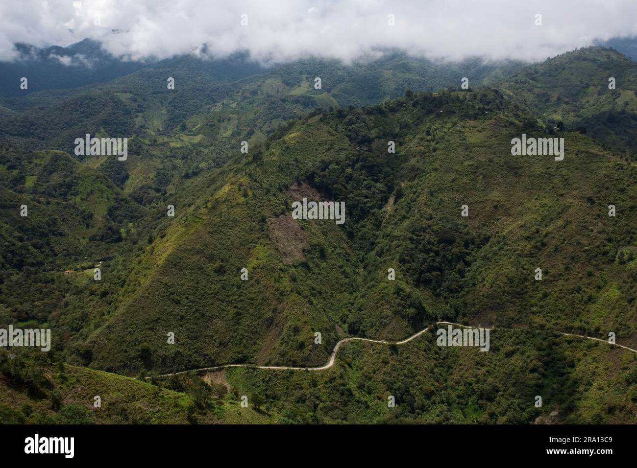 Connecting road in the cloud forest, between Otavalo and Imbabura ...