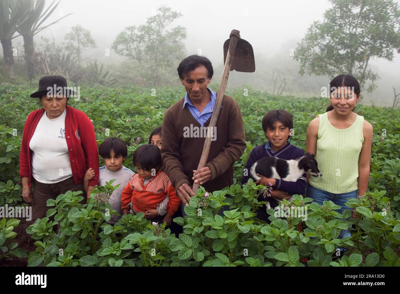 Peasant family in the field, Casarpamba, Imbabura province, Ecuador ...