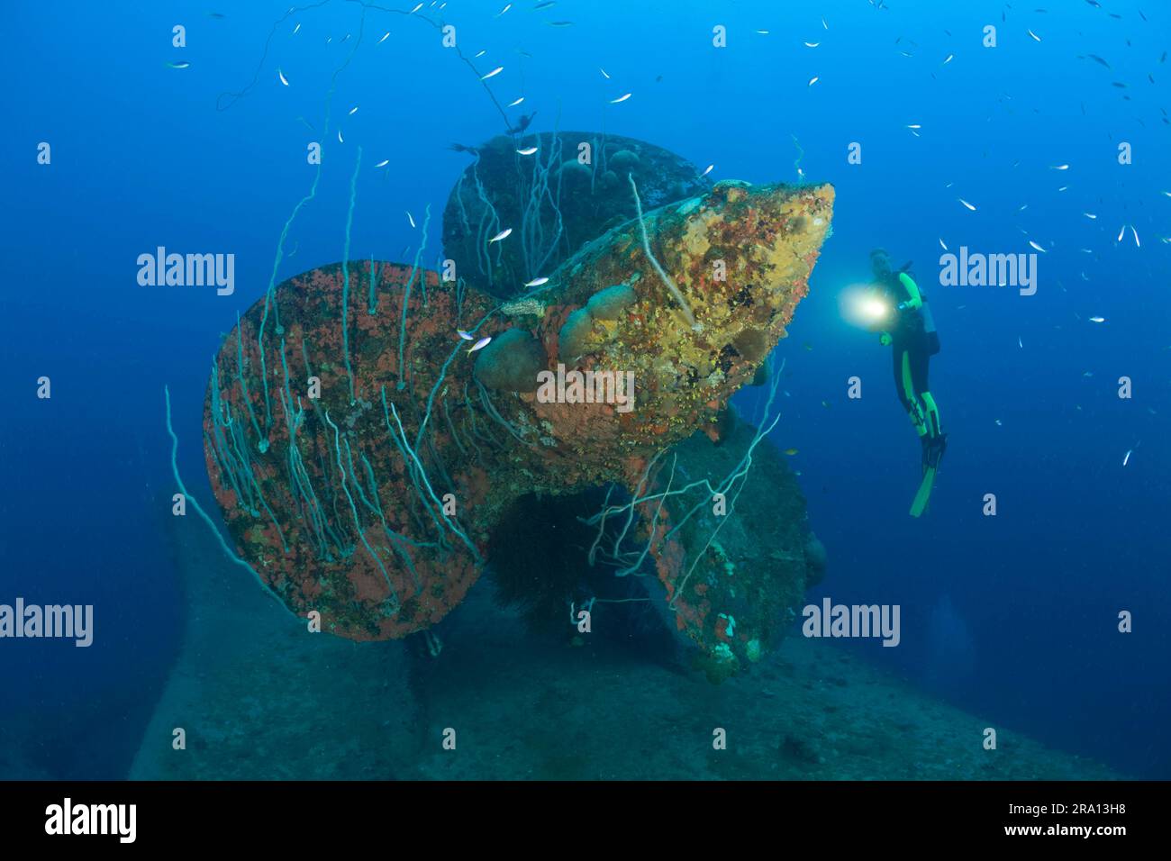 Diver at the propeller of HIJMS Nagato, Japanese warship, Bikini Atoll ...