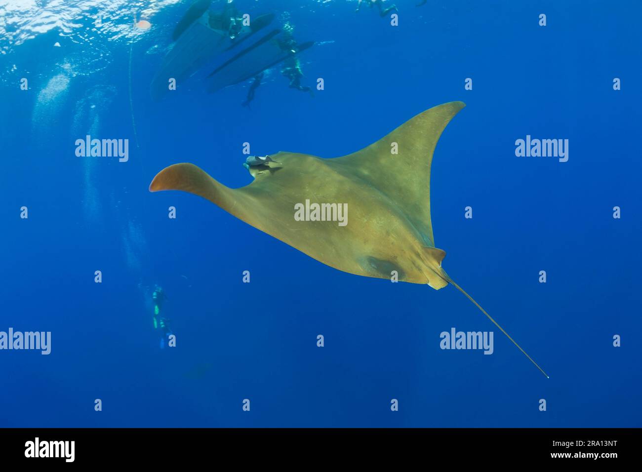 Exempt accommodation hi-res stock photography and images - Alamy