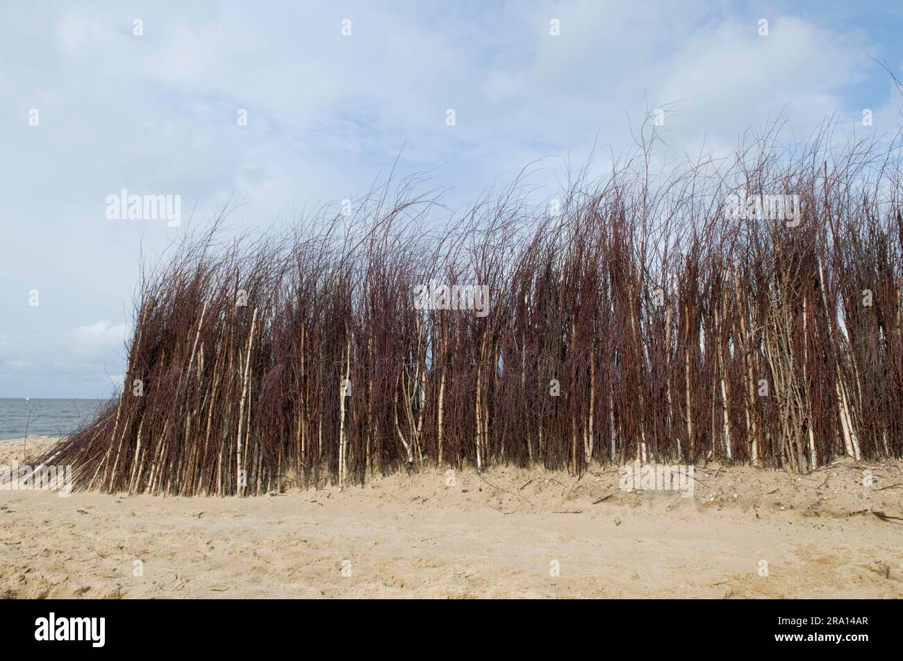 Beach stabilisation hi-res stock photography and images - Alamy