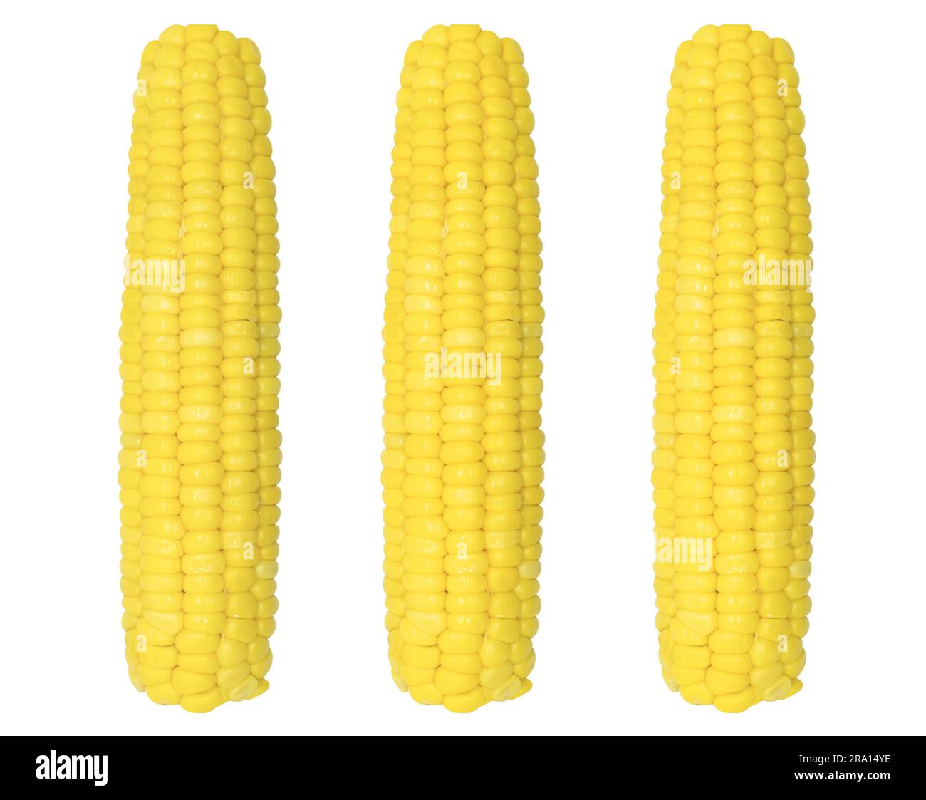 Cob of ripe sweet corn isolated on white background. Sweet boiled corn ...