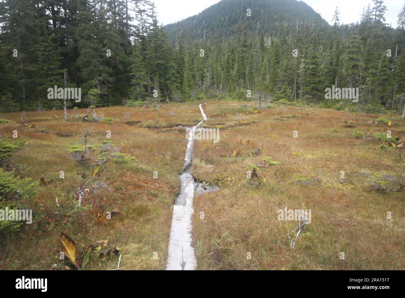 Juneau Alaska; city; nature; waterfront Stock Photo - Alamy
