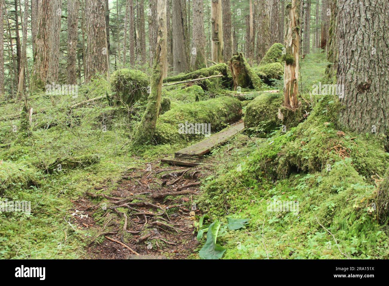 Juneau Alaska; city; nature; waterfront Stock Photo - Alamy