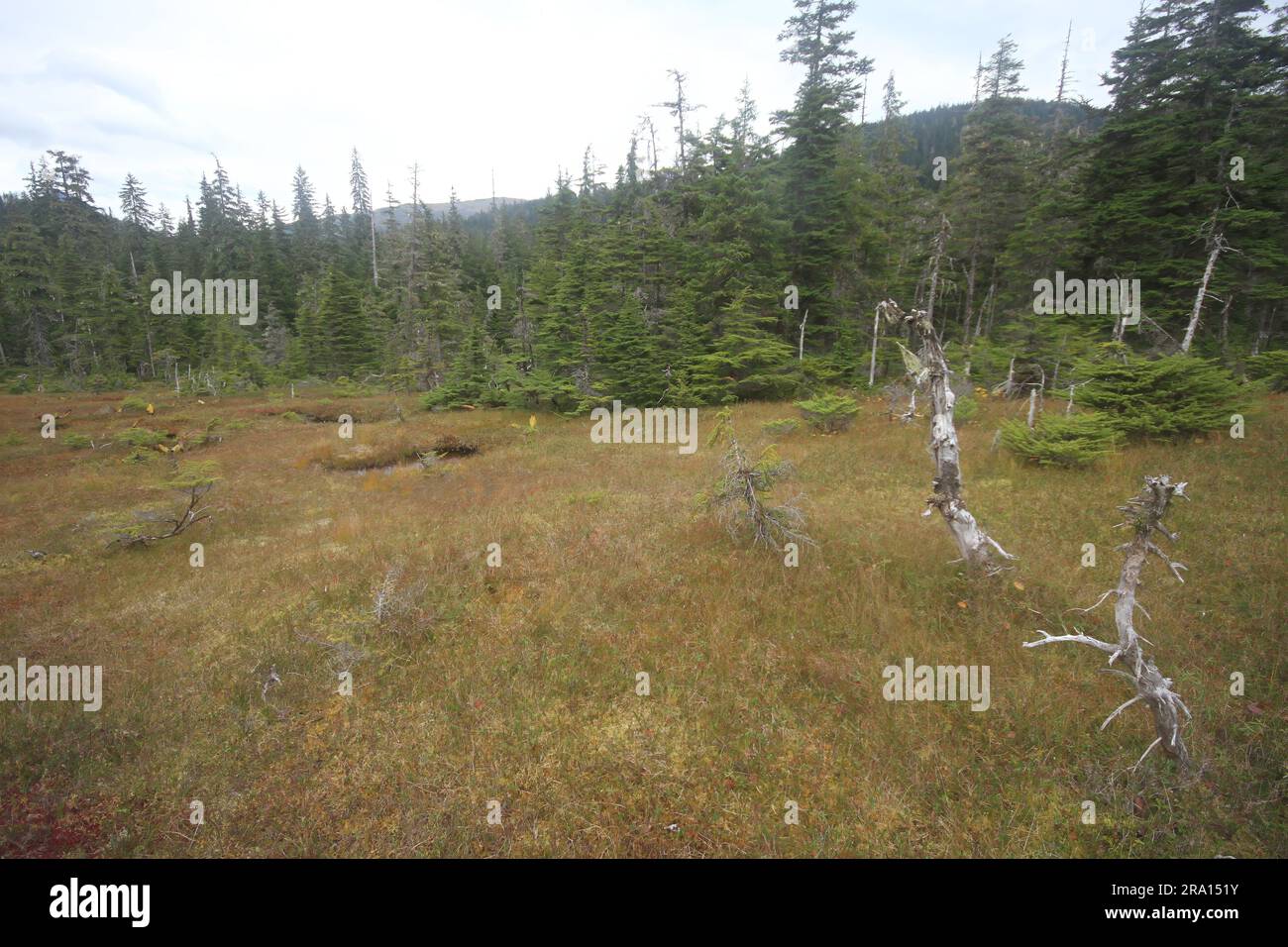 Juneau Alaska; city; nature; waterfront Stock Photo - Alamy