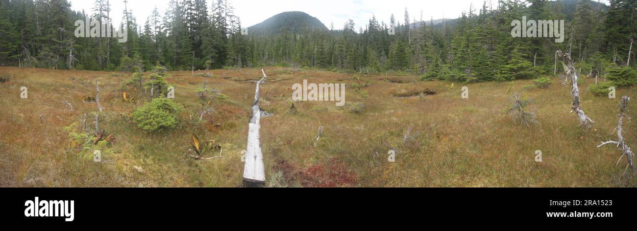 Juneau Alaska; city; nature; waterfront Stock Photo - Alamy