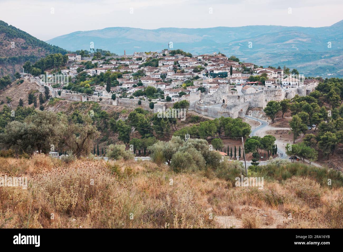 Looking at Berat Castle, a walled medieval city built atop a mountain ...