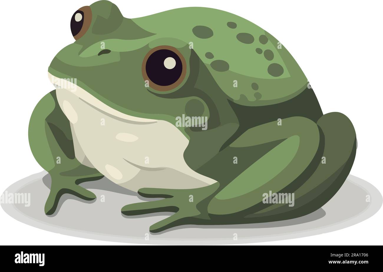 Cute toad sitting on white backdrop Stock Vector Image & Art - Alamy