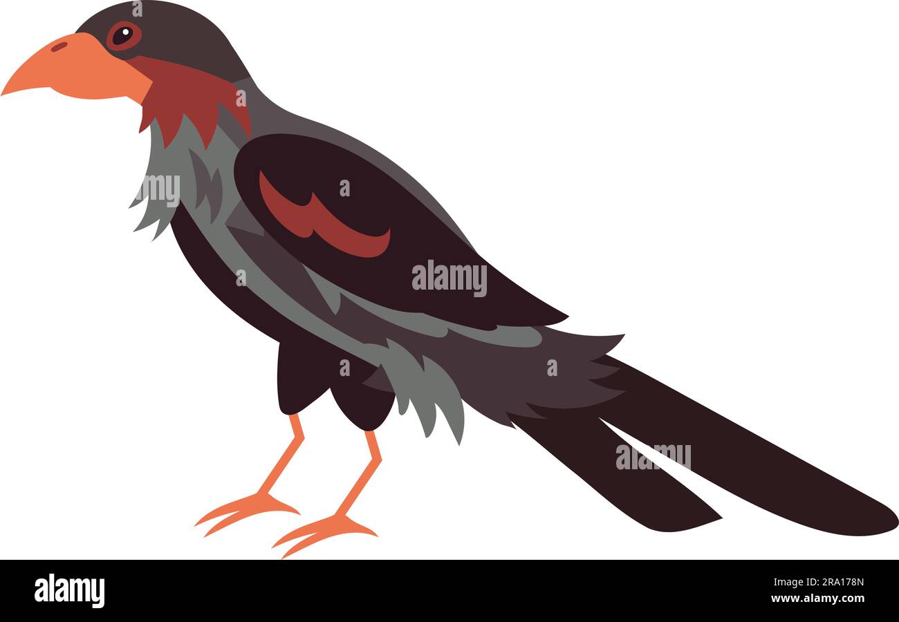 bird with sharp beak Stock Vector Image & Art - Alamy