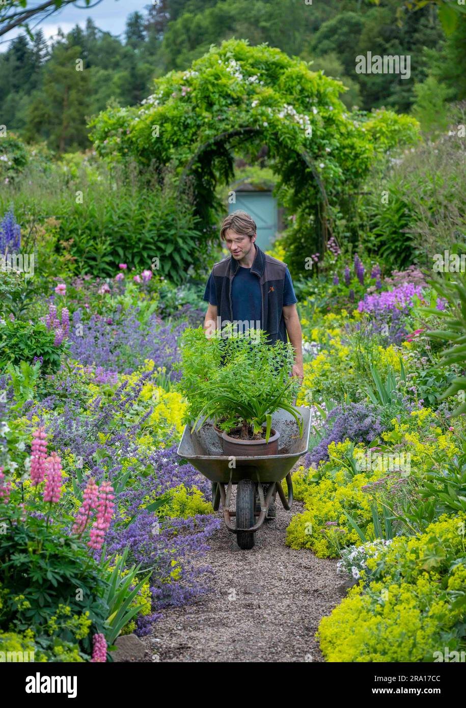 29th June 2023 Carolside garden, Earlston, Scottish Borders, Scotland ...