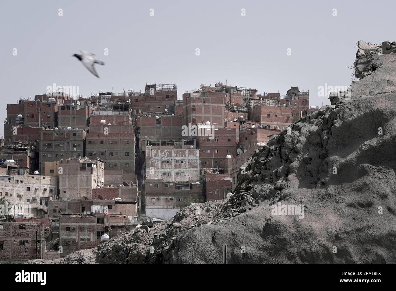 A pigeon flys over slums which on plan to be demolished to make way for ...