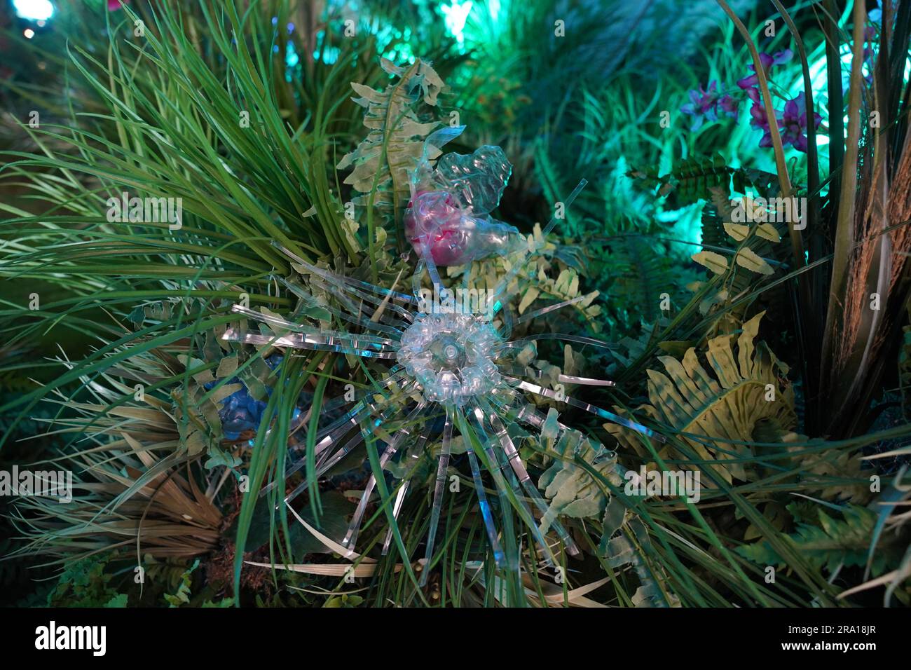 Wider ecosystem hi-res stock photography and images - Alamy