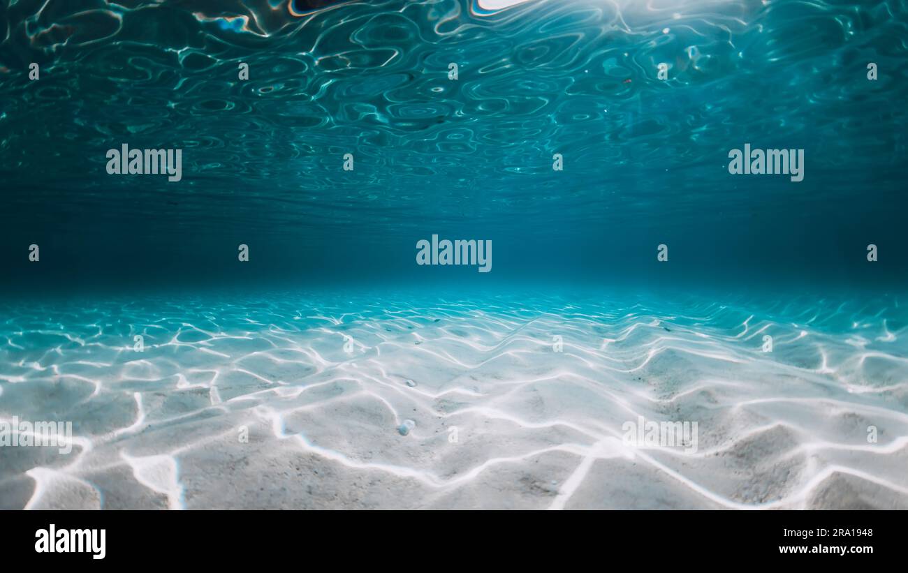 Ocean with sand bottom in Bahamas island. Panoramic underwater ...