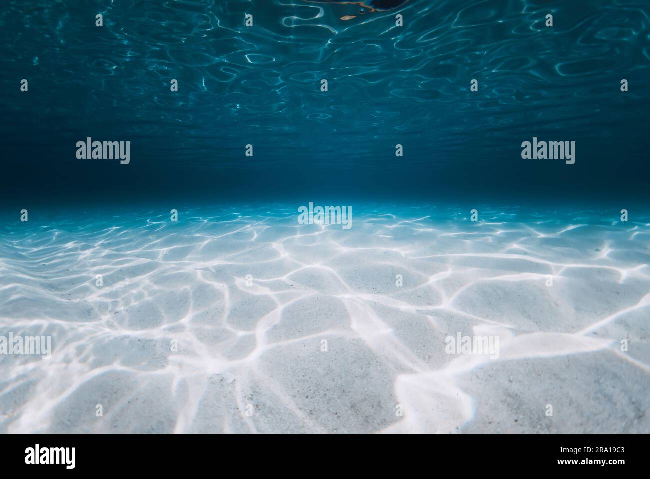Tropical blue ocean with sand bottom on Bahamas islands. Panoramic ...