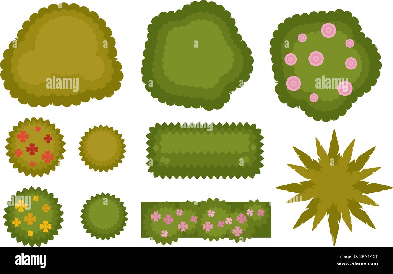 Small shrub Stock Vector Images - Alamy