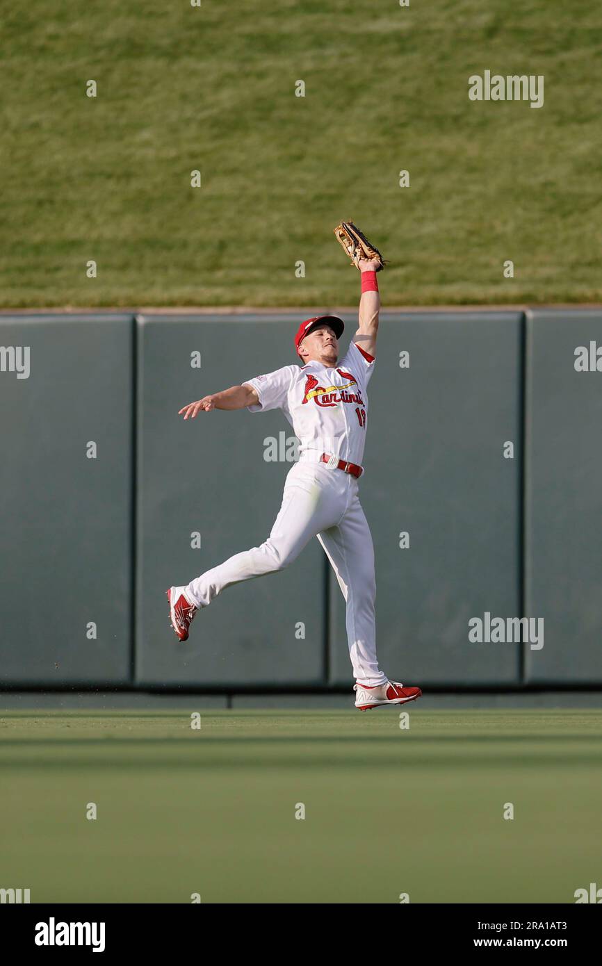 St. Louis, MO. USA; St. Louis Cardinals shortstop Tommy Edman (19 ...