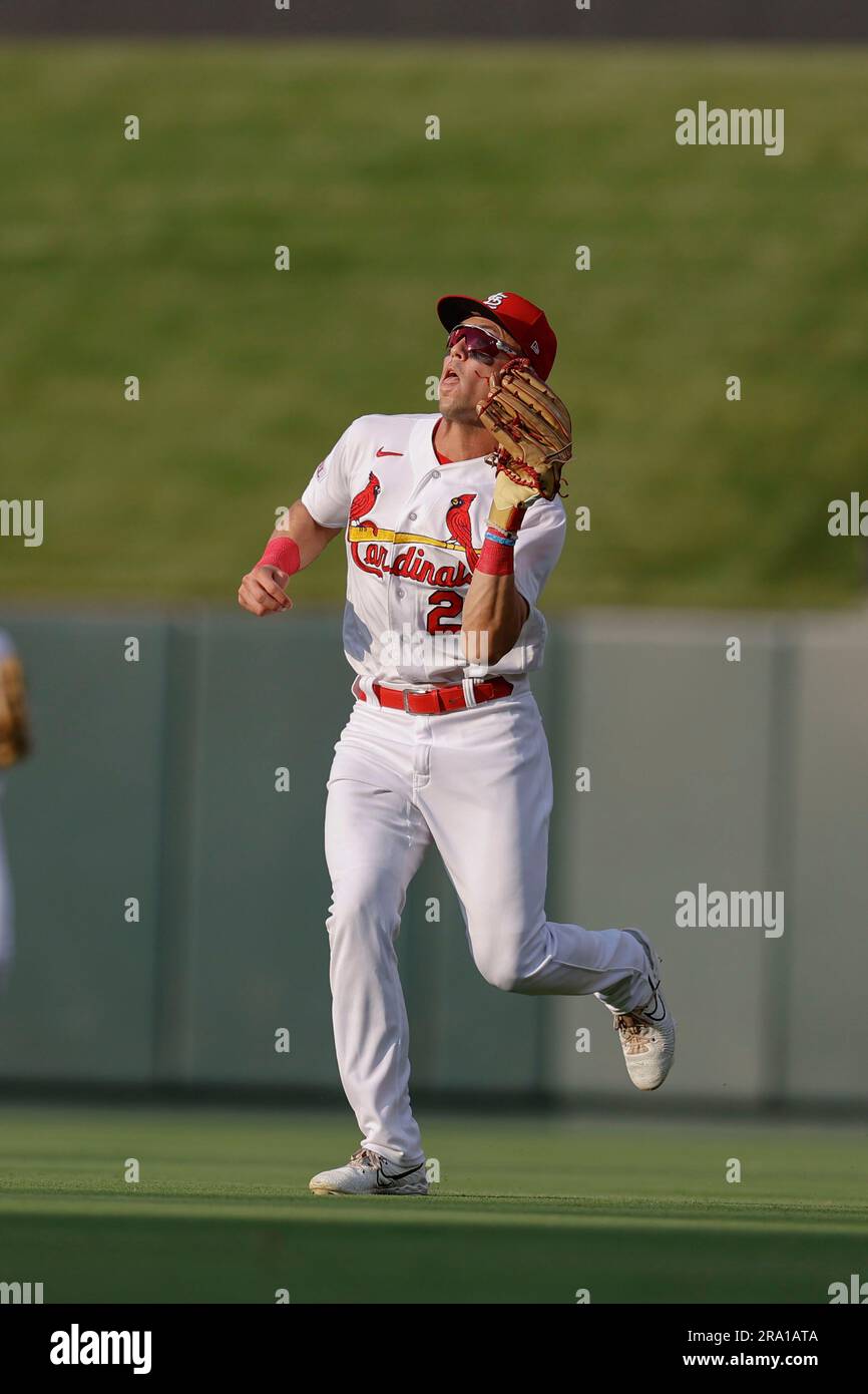 Lars nootbaar st louis cardinals hi-res stock photography and images ...