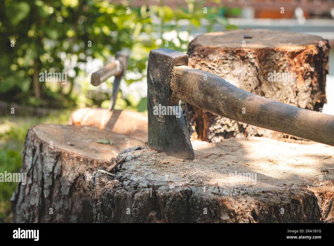 Tool for splitting wood stuck in a tree stump. An ancient, homemade axe ...