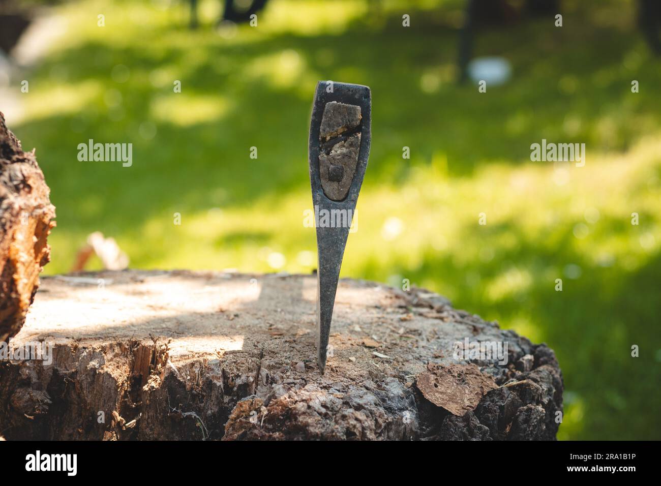 Tool for splitting wood stuck in a tree stump. An ancient, homemade axe ...