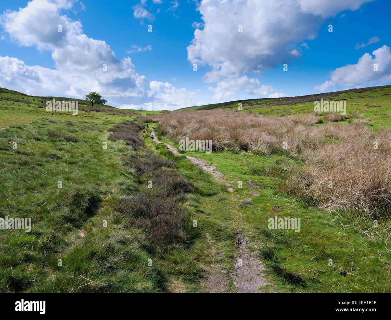 Beck hole and north york moors hi-res stock photography and images - Alamy