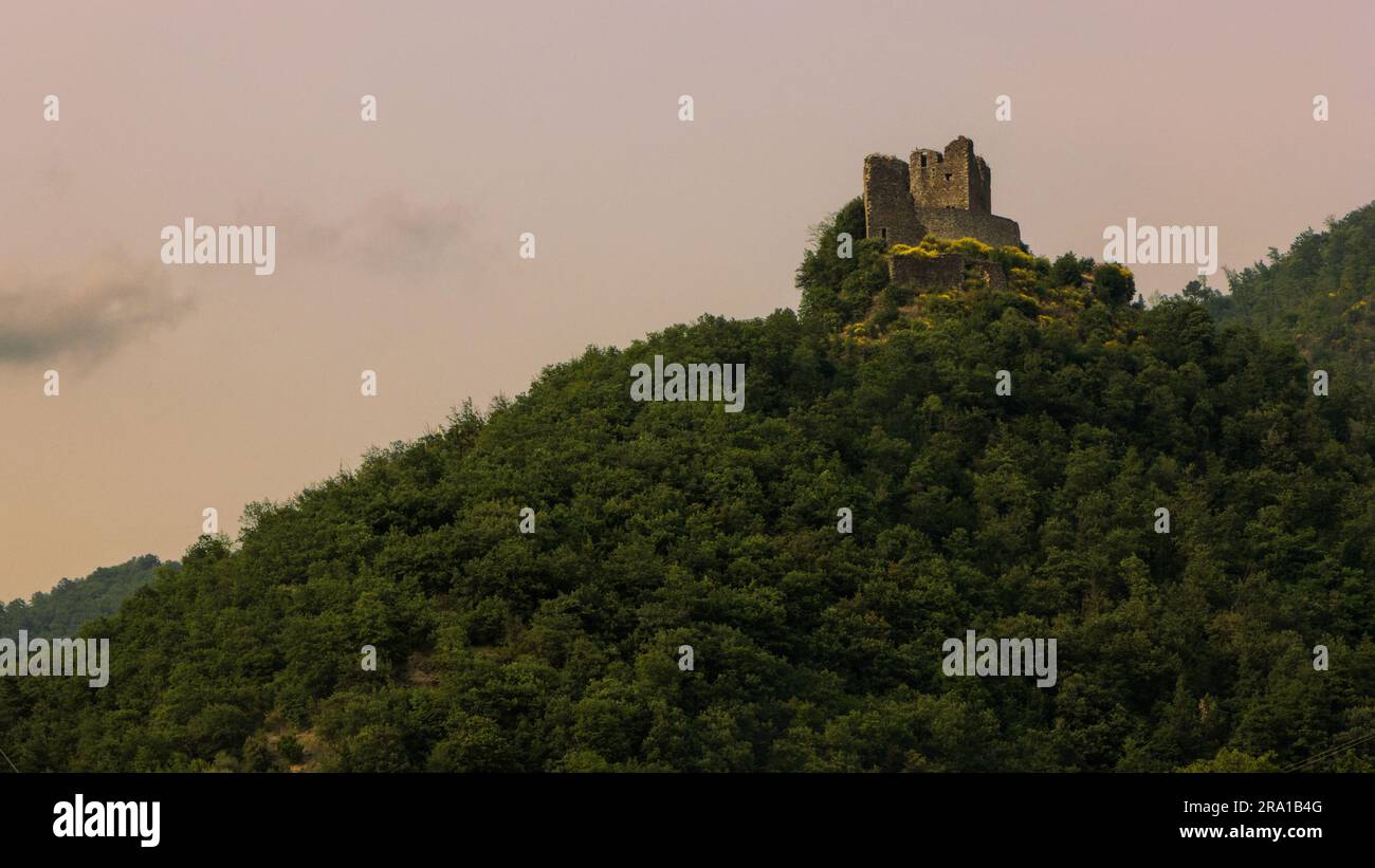 Cerbaia hi-res stock photography and images - Alamy