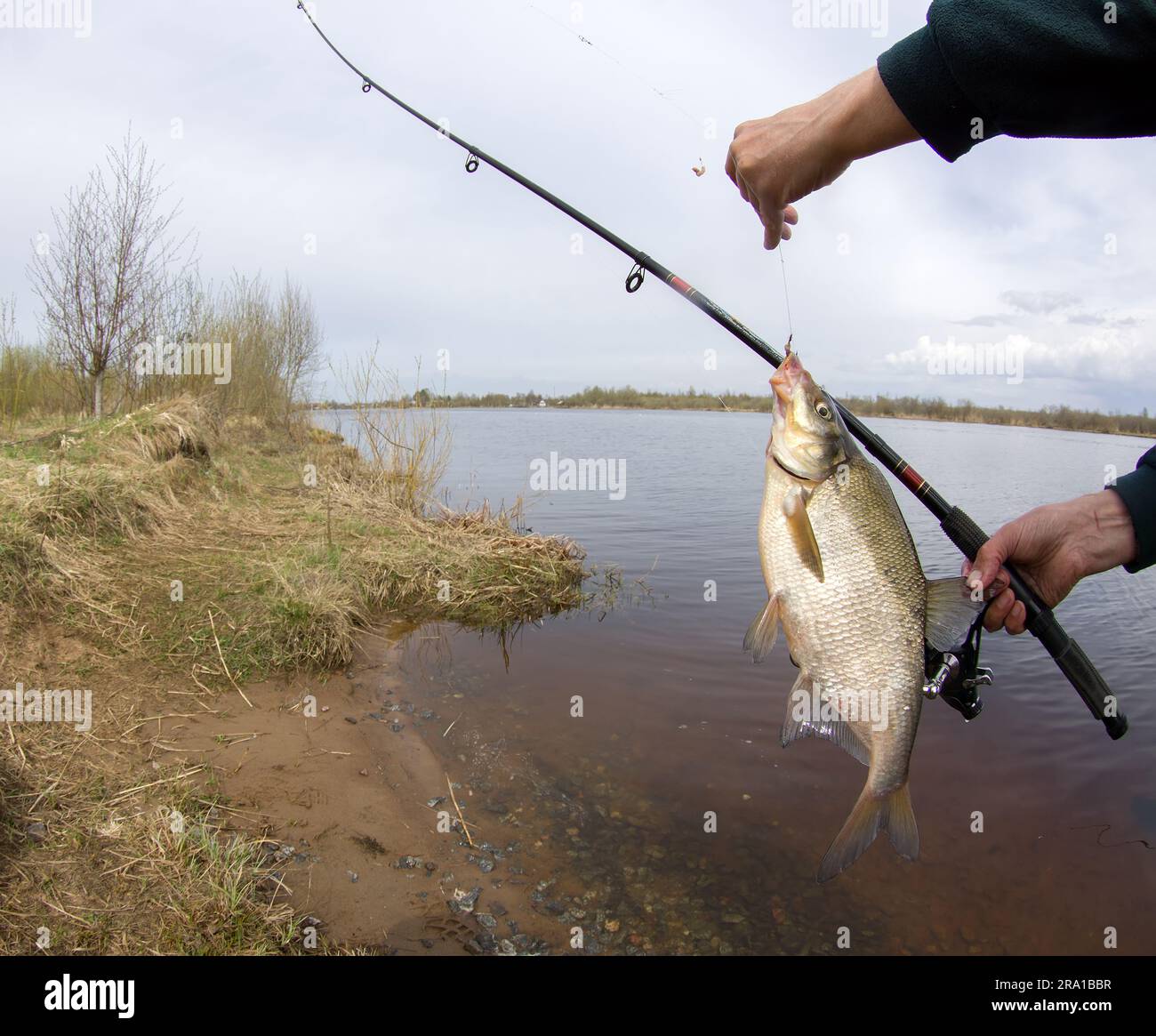 An enviable trophy of a fisherman with a fishing rod in a European ...