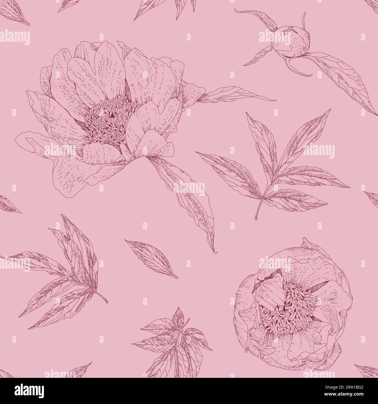 Flourishing and bud drawing of Stock Vector Images - Alamy