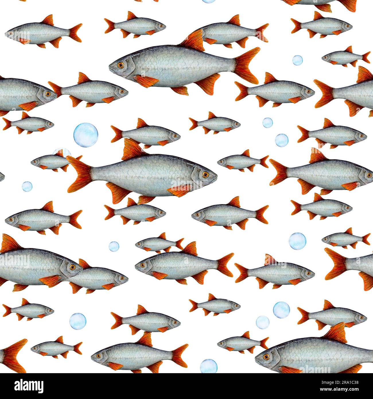 Watercolor drawing pattern from fish with red fins in different sizes ...