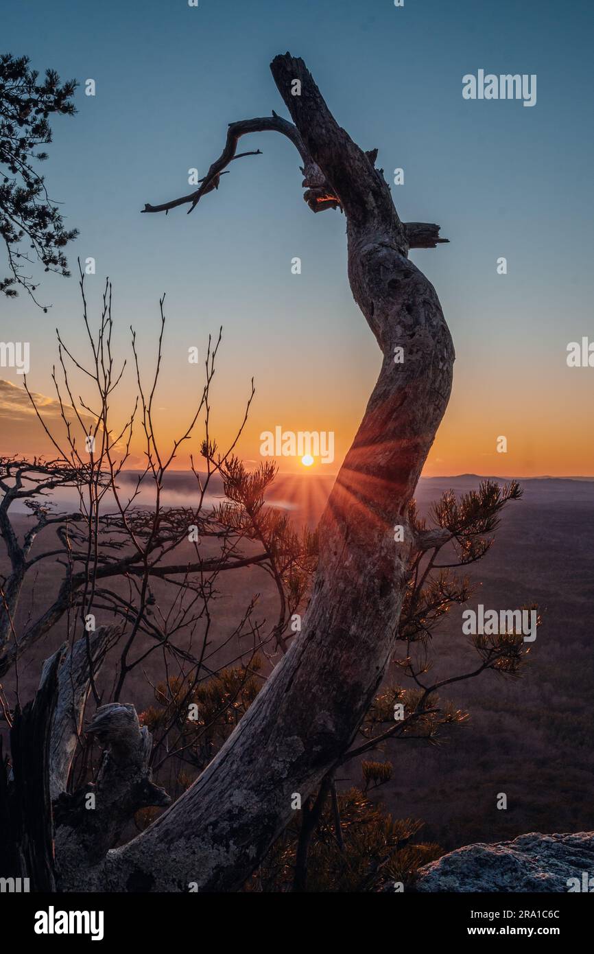 Talladega national forest hi-res stock photography and images - Alamy