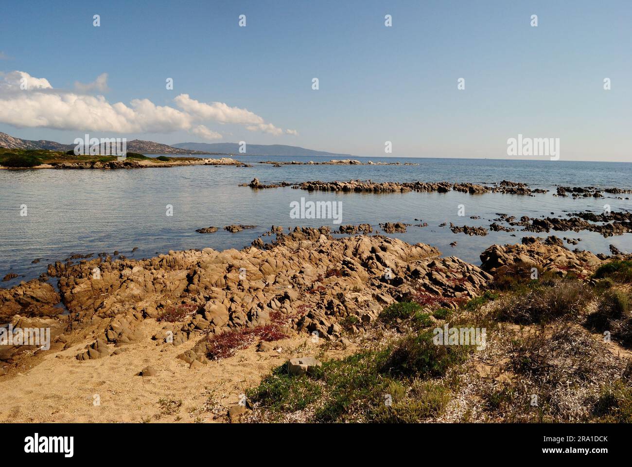 The coast of Punta Negra Stock Photo - Alamy