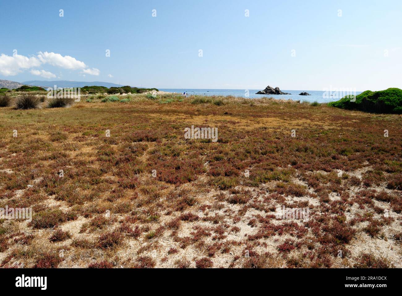 The coast of Punta Negra Stock Photo - Alamy