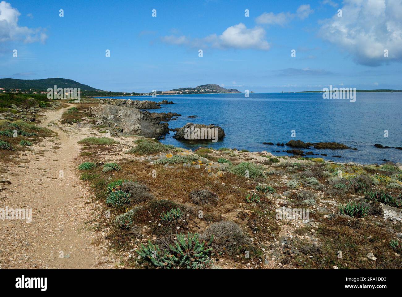 The coast of Punta Negra Stock Photo - Alamy