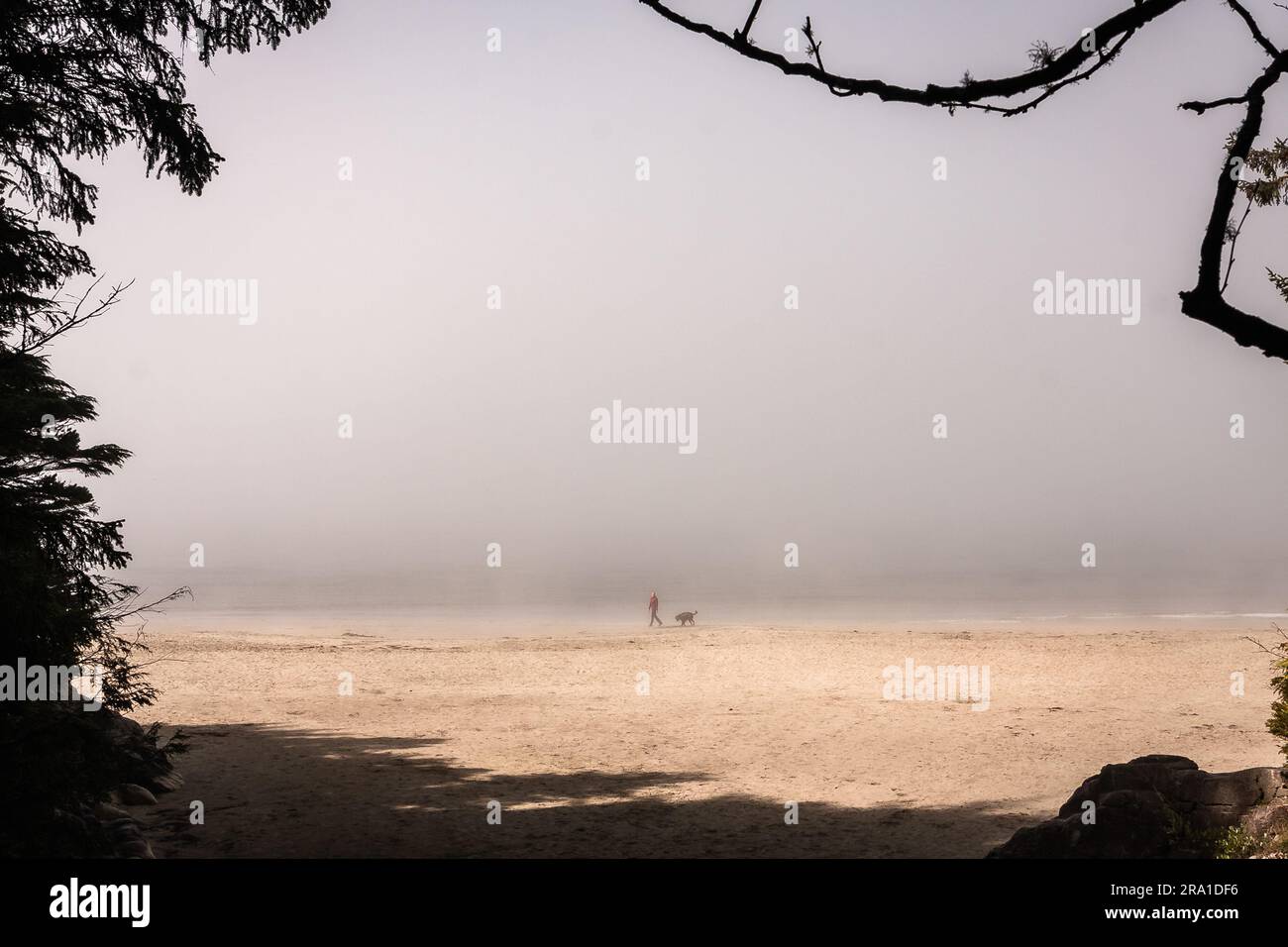 Walk on the beach, with the ocean shrouded in thick mist. Tofino is a ...