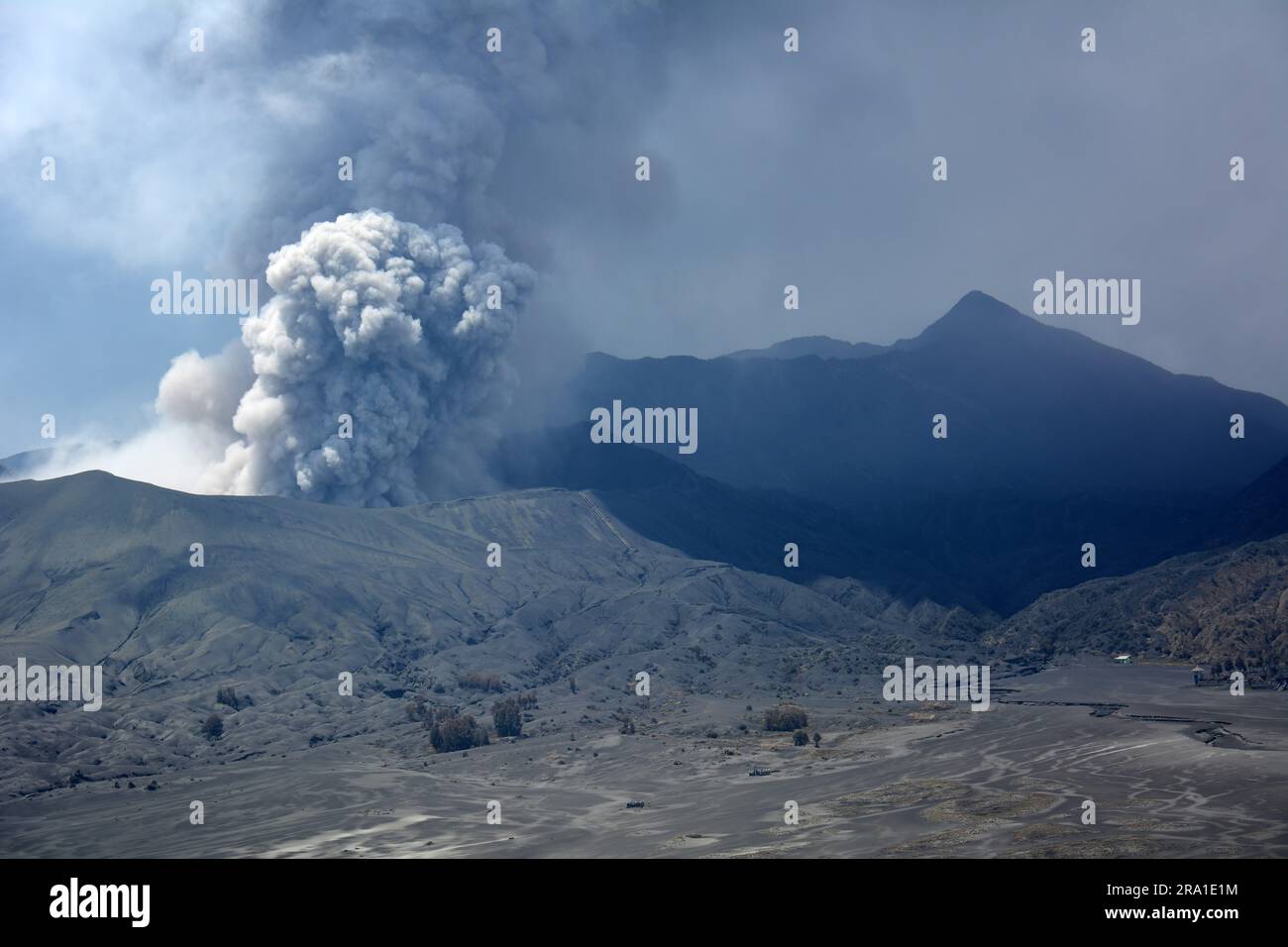 Mt. Bromo volcano actively erupts in bromo tengger semeru national park ...