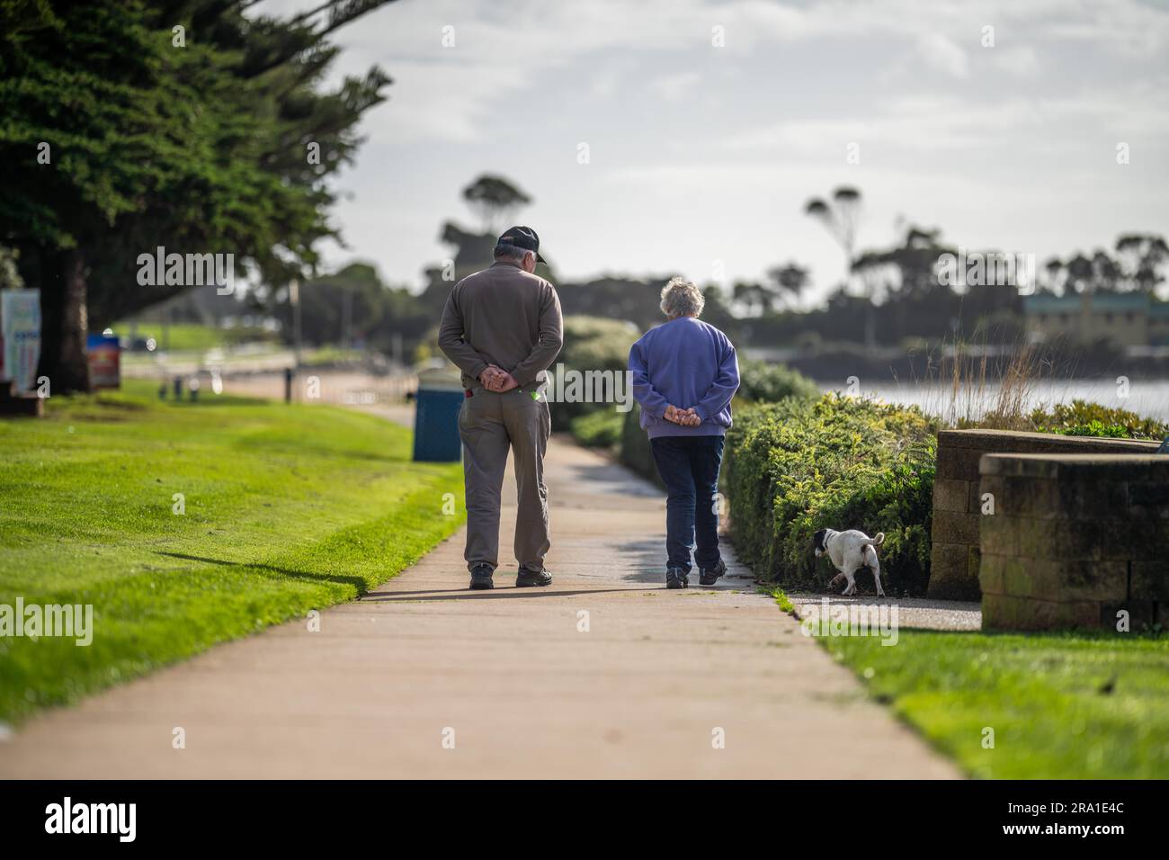 old couple walking with a little dog on a path in a park by the seaside ...