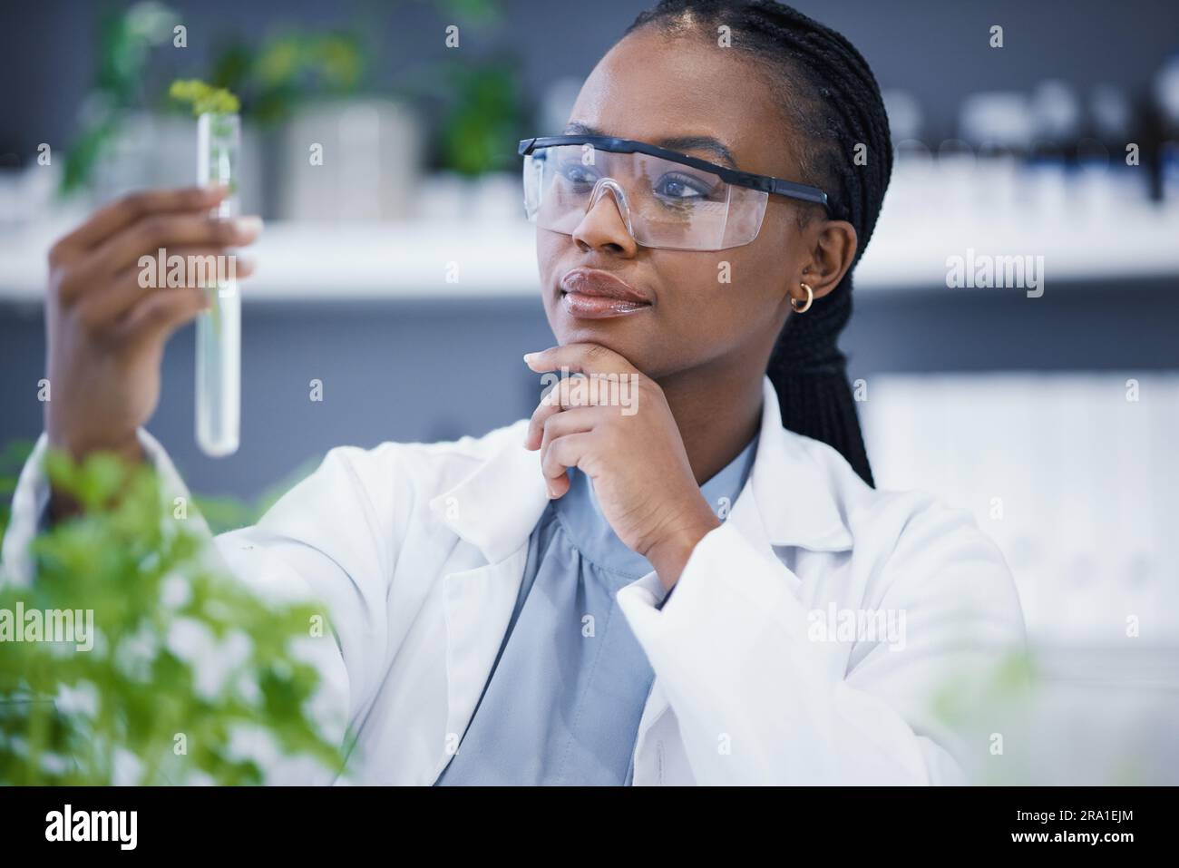 Plants, test tube and scientist woman thinking, solution and analysis ...