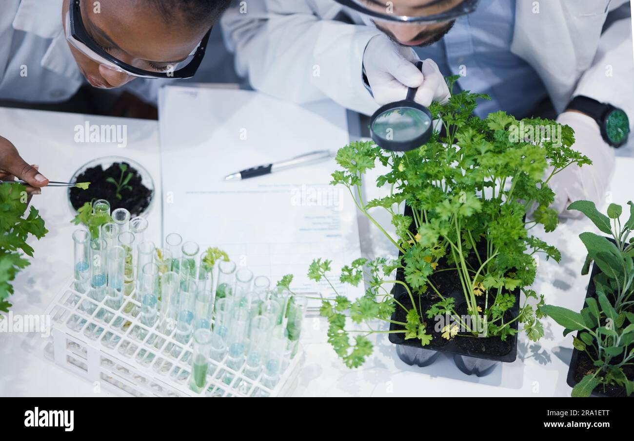 Plants, teamwork or scientists with magnifying glass or test tube for ...