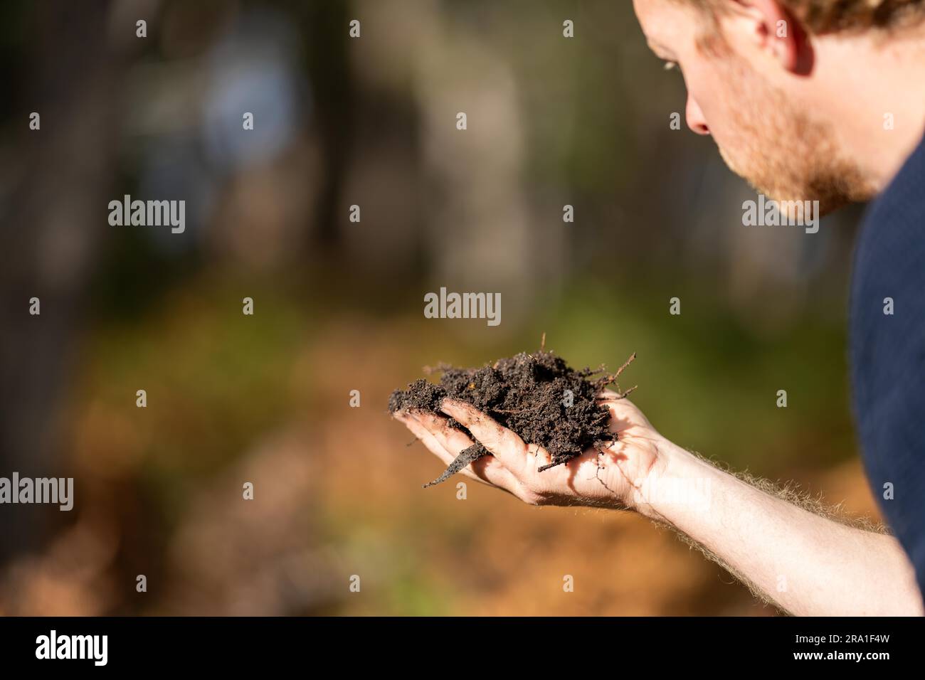 Holding soil in a hand, feeling compost in a field in Tasmania ...