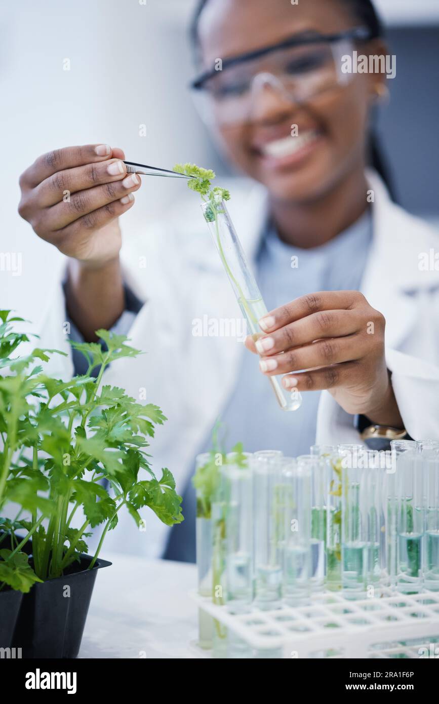 Black woman, scientist and research with plants in test tube at ...