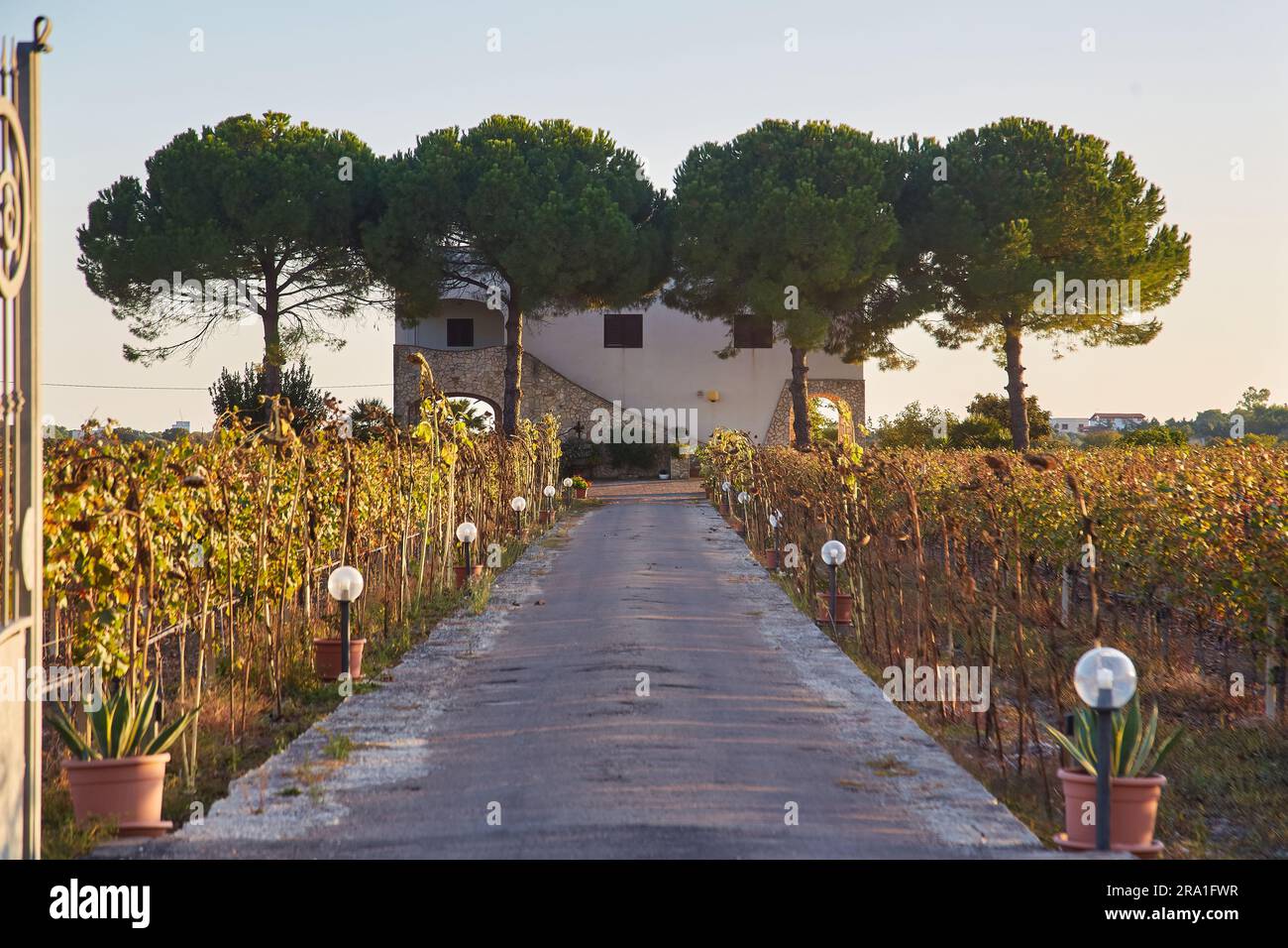 Italian estate gate hi-res stock photography and images - Alamy