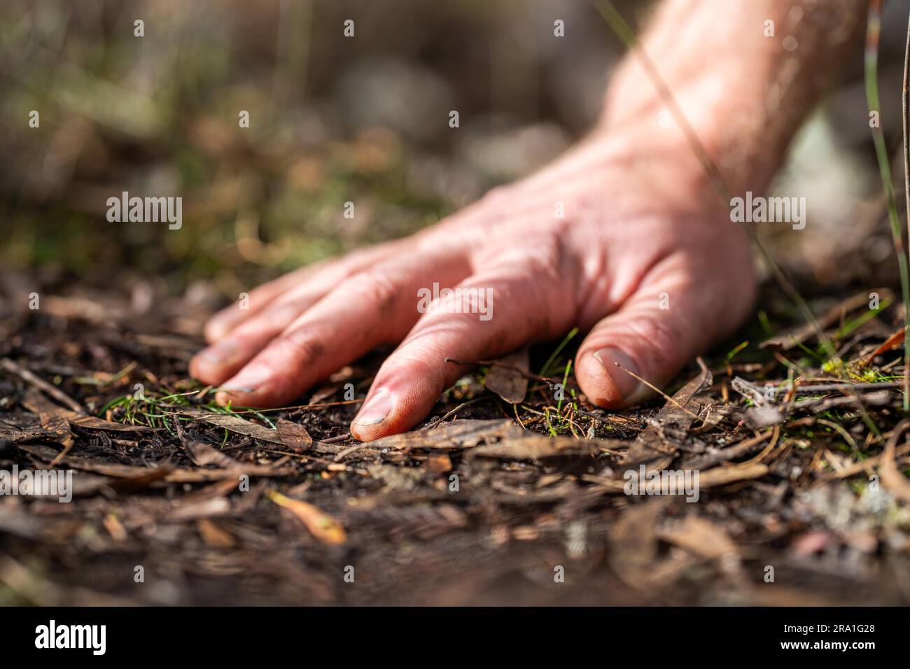 regenerative organic farmer, taking soil samples and looking at plant ...
