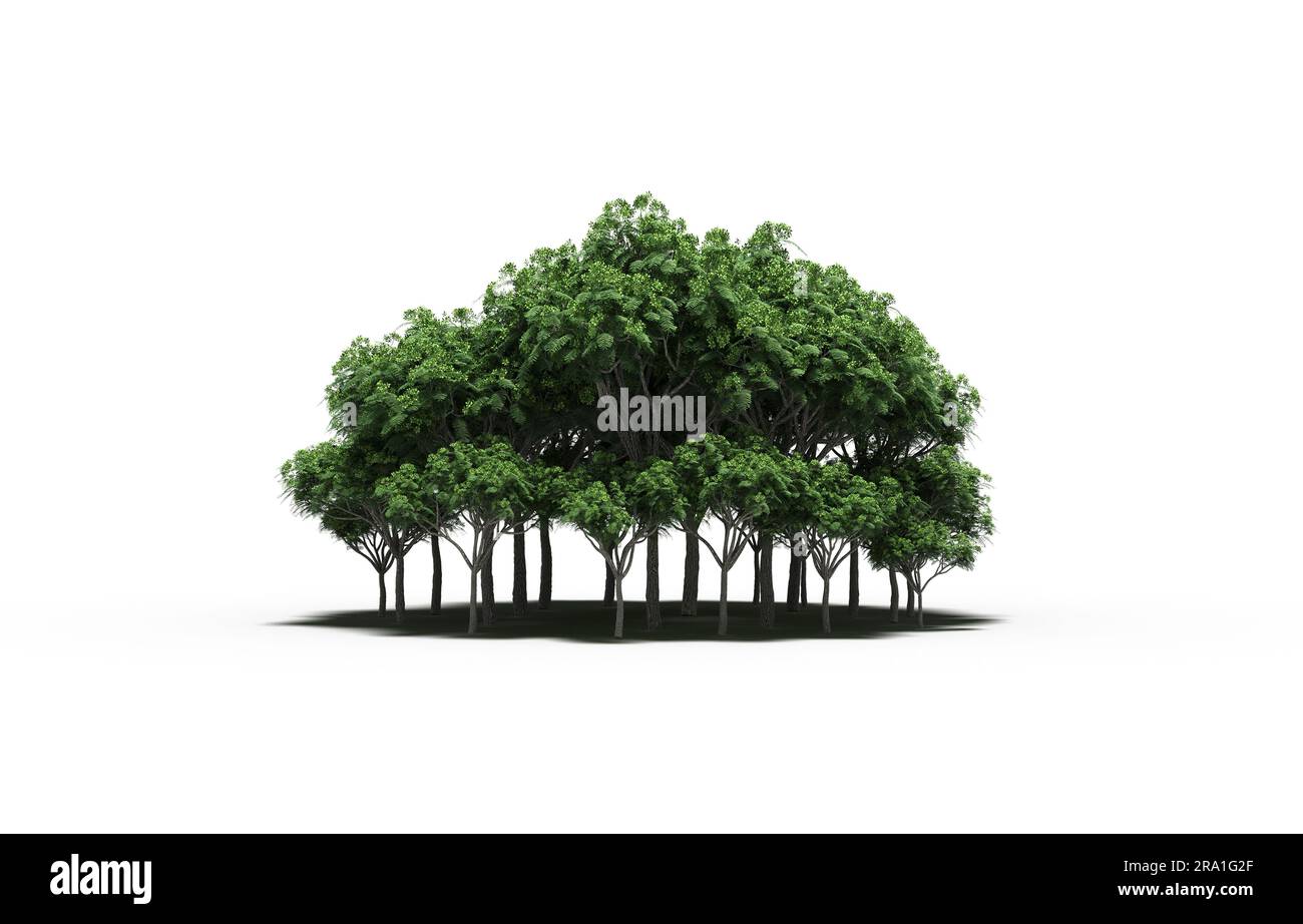 group of trees with a shadow on the ground, isolated on a white ...