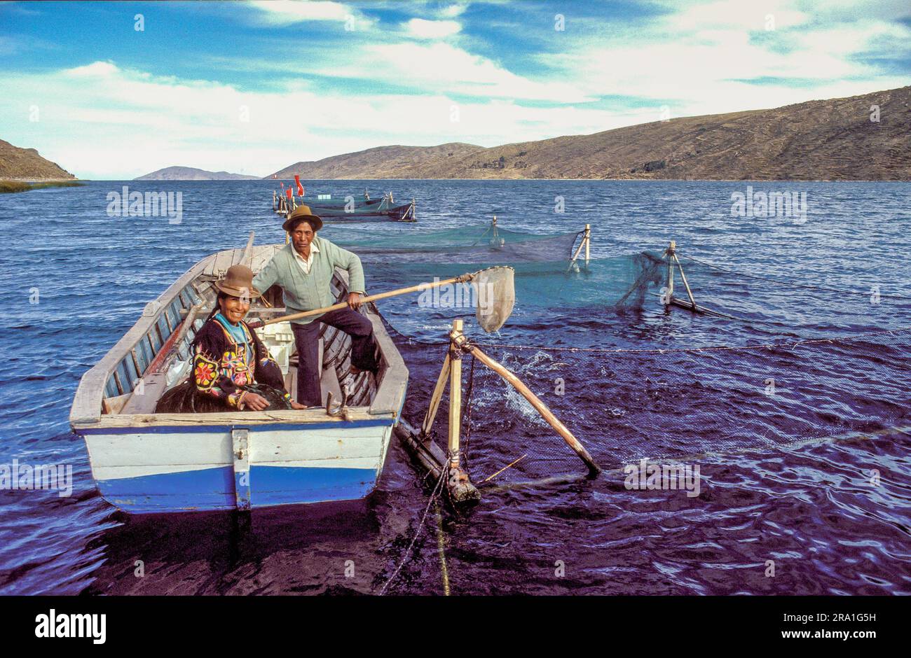Peru, Couple in a rowing boat and owners of a fishfarm, at work on ...